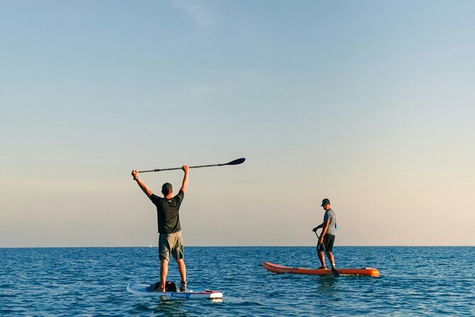 Paddle Surf Board Rental in Valencia - Benefits of the Equipment and Guides