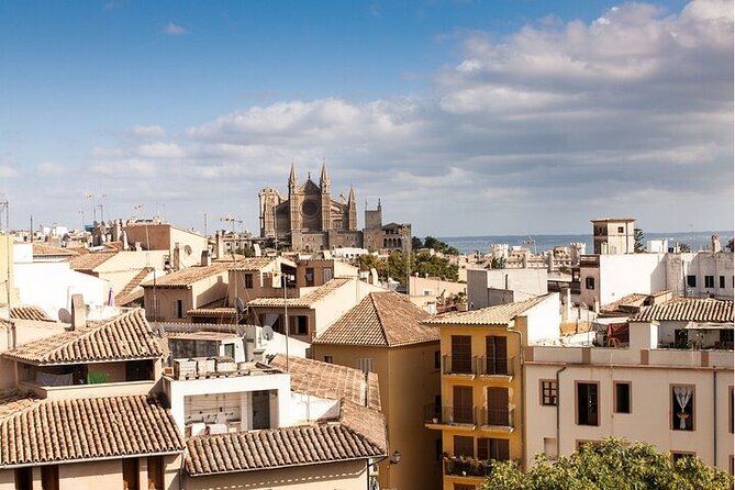 Palma de Mallorca Must-See Attractions Walking Tour With A Guide - Detailed Review of the Palma de Mallorca Must-See Attractions Walking Tour