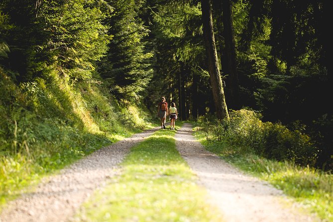 Panorama Hike through the Black Forest guided by a Local - A Closer Look at the Panorama Hike Experience