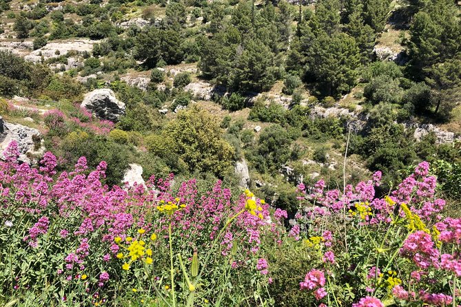 Pantalica Nature Reserve Walking Tour - Key Points