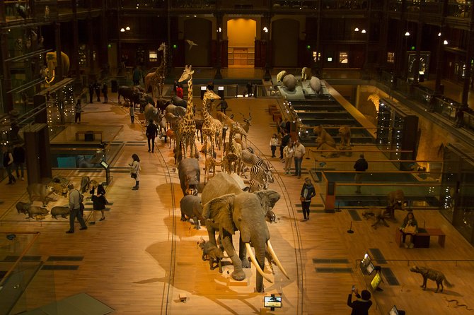 Paris Private Family Tour - City Highlights & the Best Museum for Kids - The itinerary: a step-by-step guide