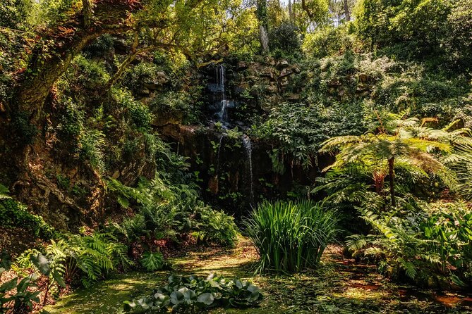 Park and Palace of Monserrate - A Closer Look at the Monserrate Experience