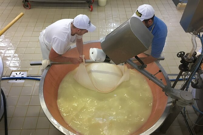 Parmigiano-Reggiano Tour and tastings - A Deep Dive into the Experience