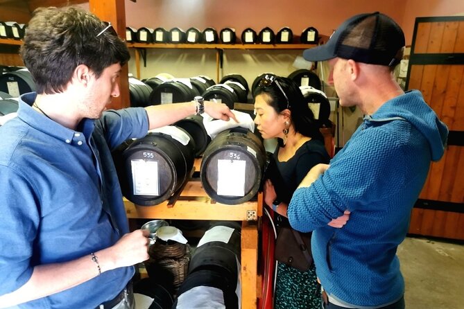 Parmigiano Wine and Balsamic Vinegar Experience from Bologna - Key Points