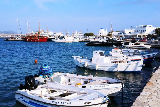 Paros private tour exploring the beaches - Who Should Consider This Tour?