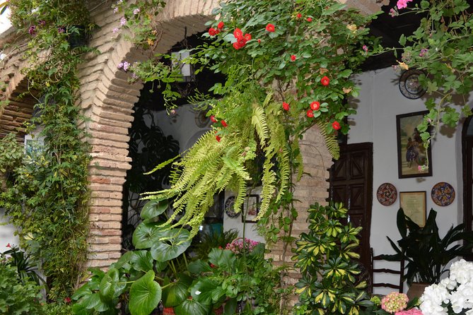 Patios & Perfums of Cordoba Festival Tour - An Extensive Look at the Córdoba Patios Festival Tour