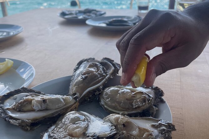 Peljeac - Wine, Oysters and Food Experience from Dubrovnik - Who Is This Tour Best Suited For?
