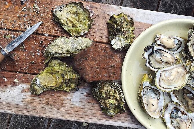 Peljesac Wine & Ston Oysters PRIVATE HALF DAY SHORE TOUR - A Closer Look at the Itinerary and Experience