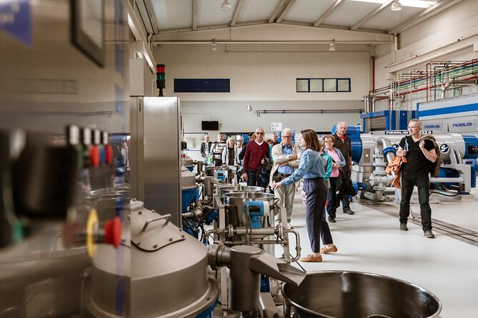 Picualia, visit the oil mill & EVOO tasting - The Nitty-Gritty of the Picualia Experience