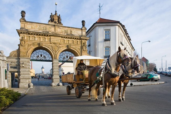Pilsner Urquel brewery with tasting + sightseeing (from Prague) - Who Is This Tour Best For?