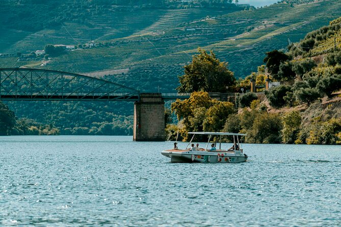 Pinhão: Electric Boat Experience 1h - Taste of Two Wines - Pricing, Duration, and Value