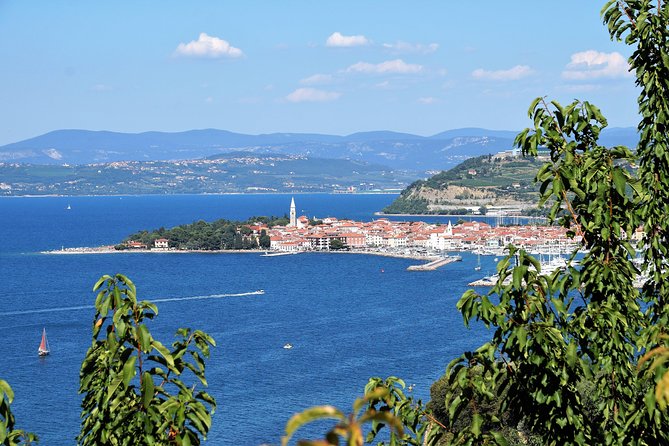 Piran & Panoramic Slovenian Coast - Small Group Tour from Trieste - Navigating the Itinerary: What You Can Expect