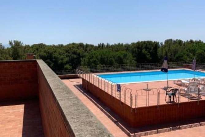 Pisa/Florence Airport Pick-up/Drop-off to Castiglioncello - The Details of Your Journey