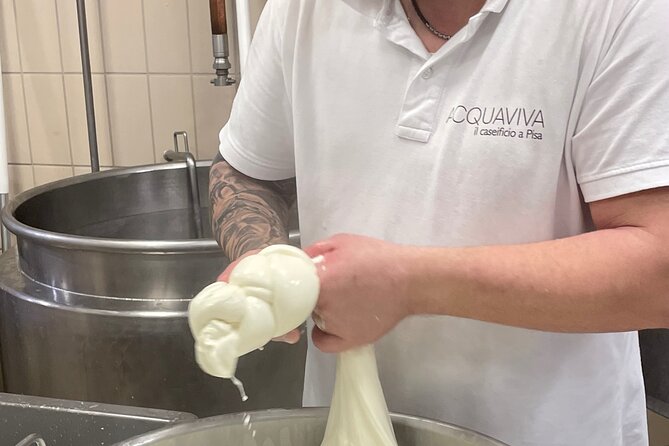 Pisa Small Group Cheese Making & tasting experience (max 6people) - Key Points