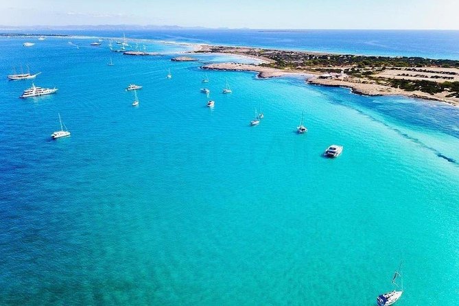 Playa de Ses Illetes Full Day Catamaran Trip - The Price and Its Value