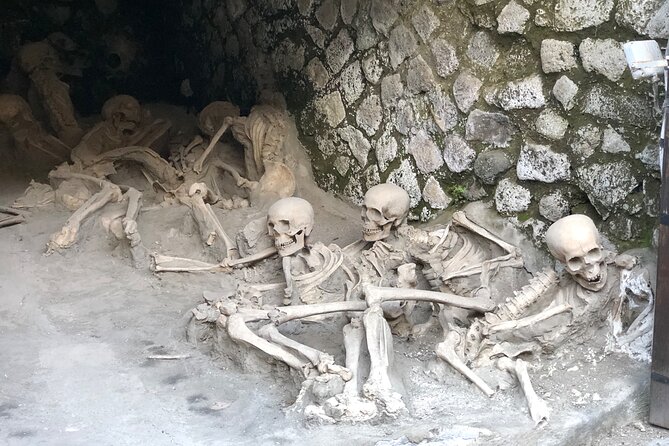 Pompeii and Herculaneum Private Tour with Pick up and Wine Tasting - An Overview of the Tour
