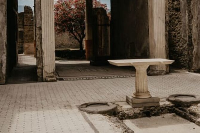 Pompeii Guided Tour with Train Included from Rome - Authentic and Insightful Guidance