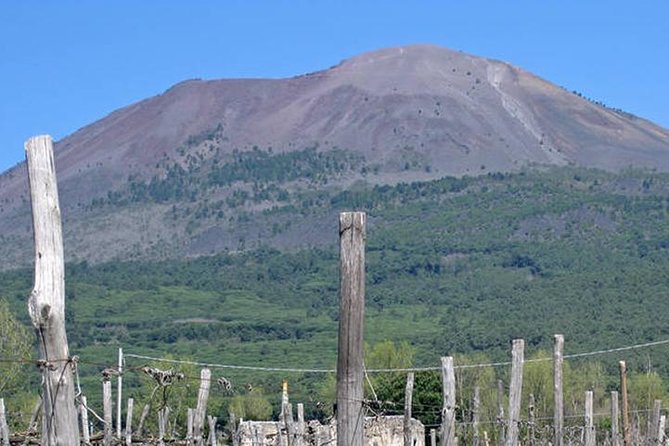 Pompeii, Herculaneum and Vesuvius Private Guided Tour - Starting Early for a Full Day of Exploration