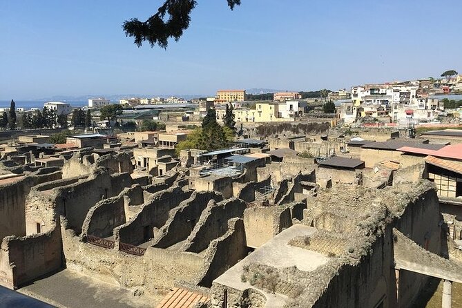 Pompeii, Herculaneum & Wine Tour, with Licensed Guide included - Who Will Love This Tour?