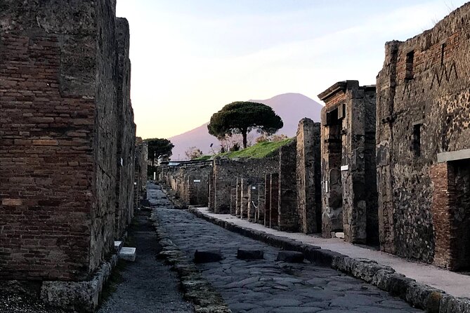 Pompeii Private Tour with expert local guide - Key Points
