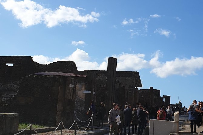 Pompeii tour with entrance ticket! - What You Can Expect from the Pompeii Tour