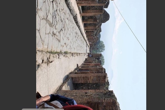 Pompeii, Vesuvius & Wine Tasting Private day Tour - Exploring Pompeii