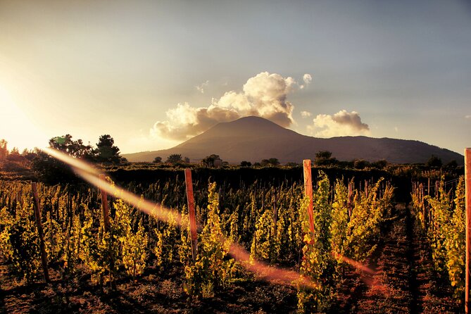 Pompeii with Wine Tasting and Lunch from Naples - What the Reviews Say: Authentic Perspectives