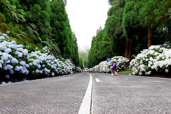Ponta Delgada: Shore Excursion, Sete Cidades, Blue & Green Lake - The Guided Experience and Transportation