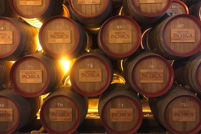 Port Wine Cellars Private Tour with Local Lunch - How the Experience Feels in Practice