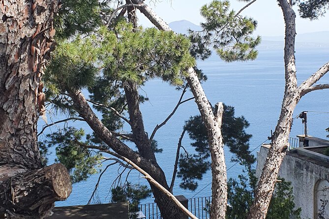 Positano, Sorrento and Pompeii in One Day with Expert Local Driver & Guide - Authenticity and Reviews