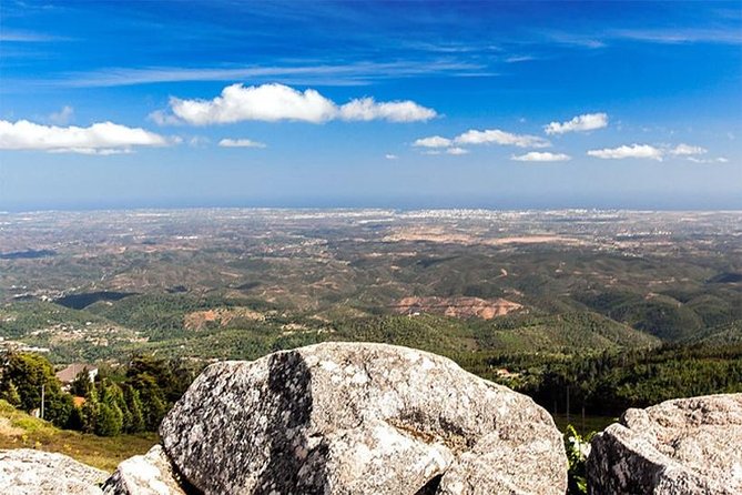 Premium gastronomic mountain tour: Wine, olive oil, spirits, food - The Itinerary in Detail: What You Can Expect