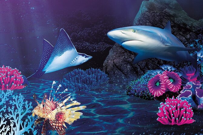 Premium Ticket Sea Life Benalmádena - Who Should Consider This Tour?