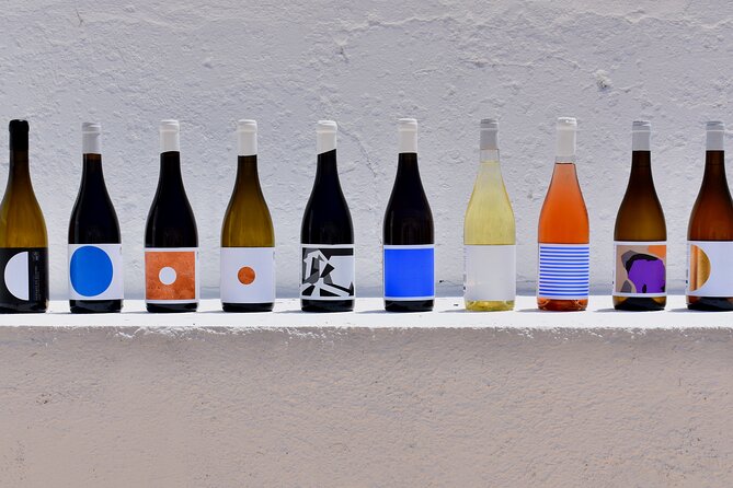 Premium Vineyard Tour & Tasting - Practical details and what to expect