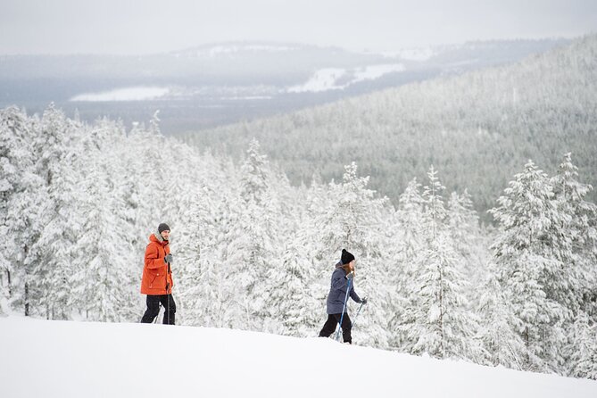 Premium Wilderness Skiing in Pyhä-Luosto National Park - Introduction: Why Opt for Wilderness Skiing in Pyhä-Luosto?