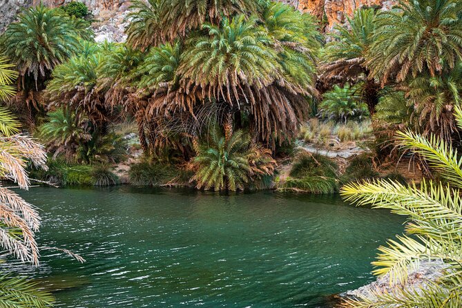 Preveli Beach and Plakias Full-Day Trip From Rethymno - What Real Travelers Say