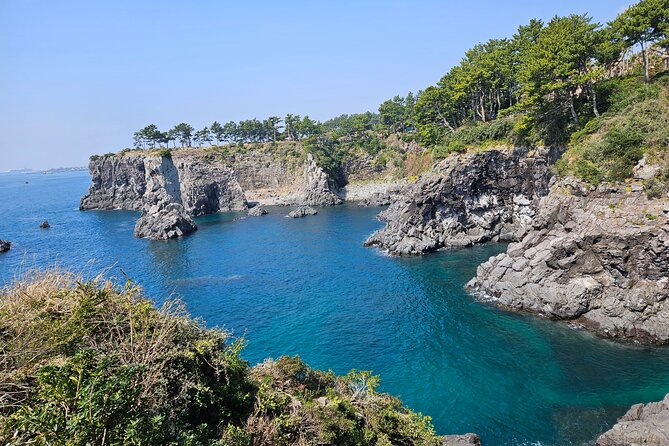 Private 2Days Tour a lot of Experience Driver in jeju island - The Value of a Private Tour and Personal Driver