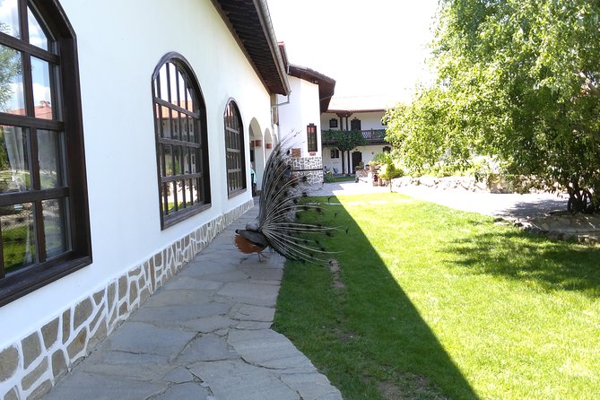 Private Ancient History Spa and Wine from Sofia - A Closer Look at the Itinerary