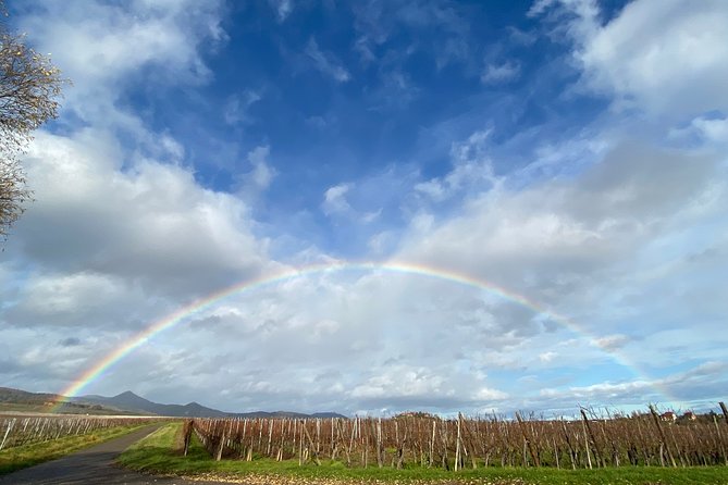 Private and customizable: Alsace Wine Route HIGHLIGHTS in 3 hours - A Closer Look at the 3-Hour Alsace Wine Route Experience
