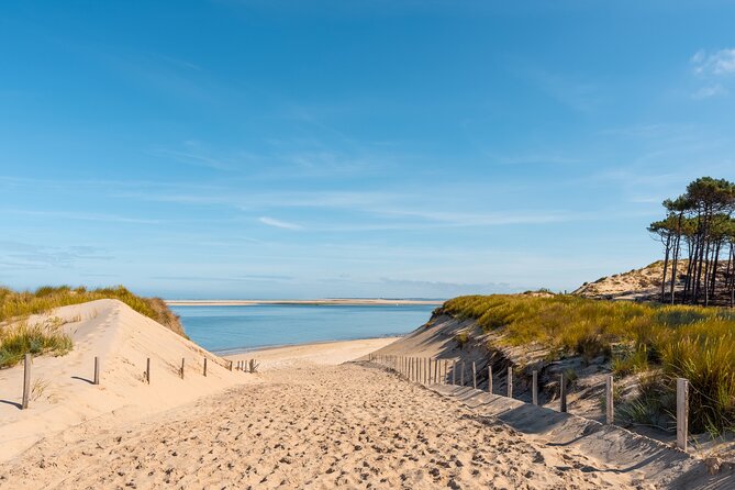 Private Arcachon Full-Day tour, from Bordeaux - The Value of the Experience