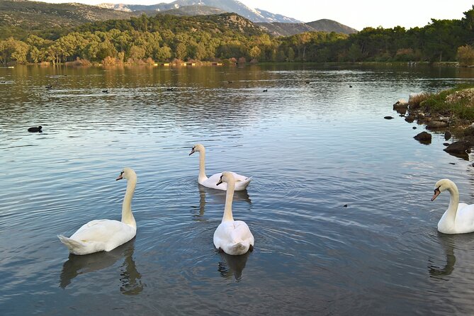 Private Argostoli Walking Experience - Why This Tour Might Be Perfect for You