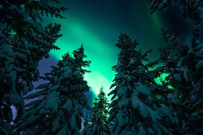 Private Aurora Hunting with Professional Photographer from Alta - Learning to Photograph the Aurora