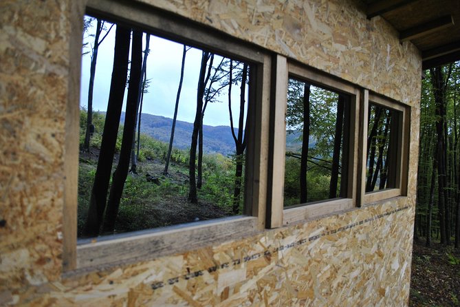 Private Brown Bear Watching Experience near Odorheiu Secuiesc - A Close Look at the Experience