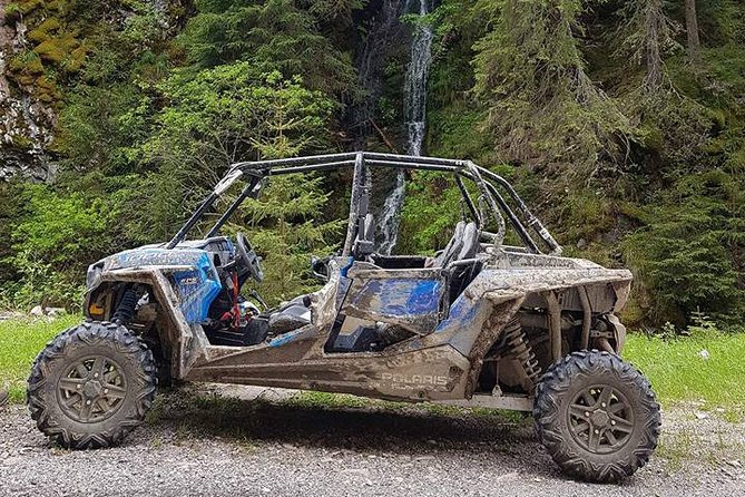 Private Buggy Experience All Seasons in Pamporovo - A Thrilling Ride Through the Rhodopes