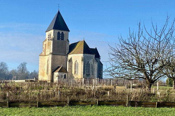Private Burgundy 3 Domaines Chateau Pommard Chablis 15 Wines Trip - The Long But Rewarding Return to Paris