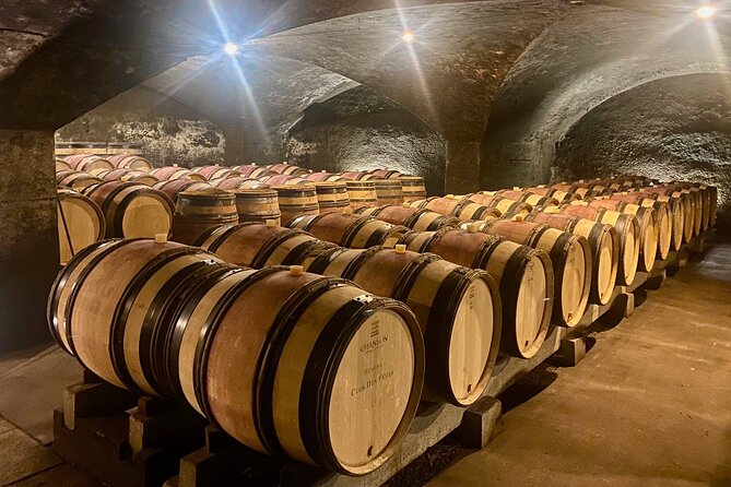 Private Burgundy 4 Domains 20 Chablis Wines tasting from Paris - A Closer Look at the Itinerary and Experience