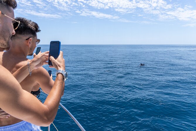 Private Coastline and Dolphins Yacht Cruise from Albufeira - The Itinerary in Detail