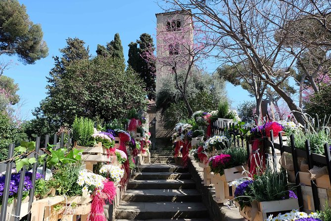 Private Customized Barcelona Tour by Mercedes VIP Bus and Personal Expert Guide - Why Choose a Private, Customizable Tour?