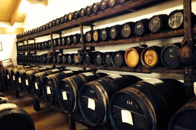 Private Day Tour & Lunch: Parmesan, Wine, and Vinegar Tasting - Introduction: Why This Tour Might Be Just What Youre Looking For