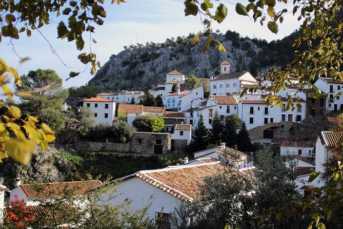 *Private Day Trip* from Cádiz: The White Towns of Andalusia - Key Points