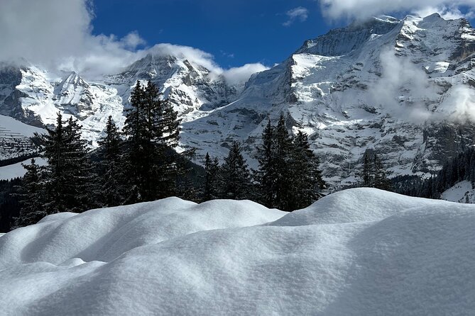 Private Day Trip in the Heart of the ALPS - Jungfrau Region - An In-Depth Look at the Itinerary